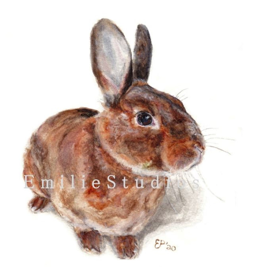 Mini Satin Rabbit Watercolor Print - Etsy