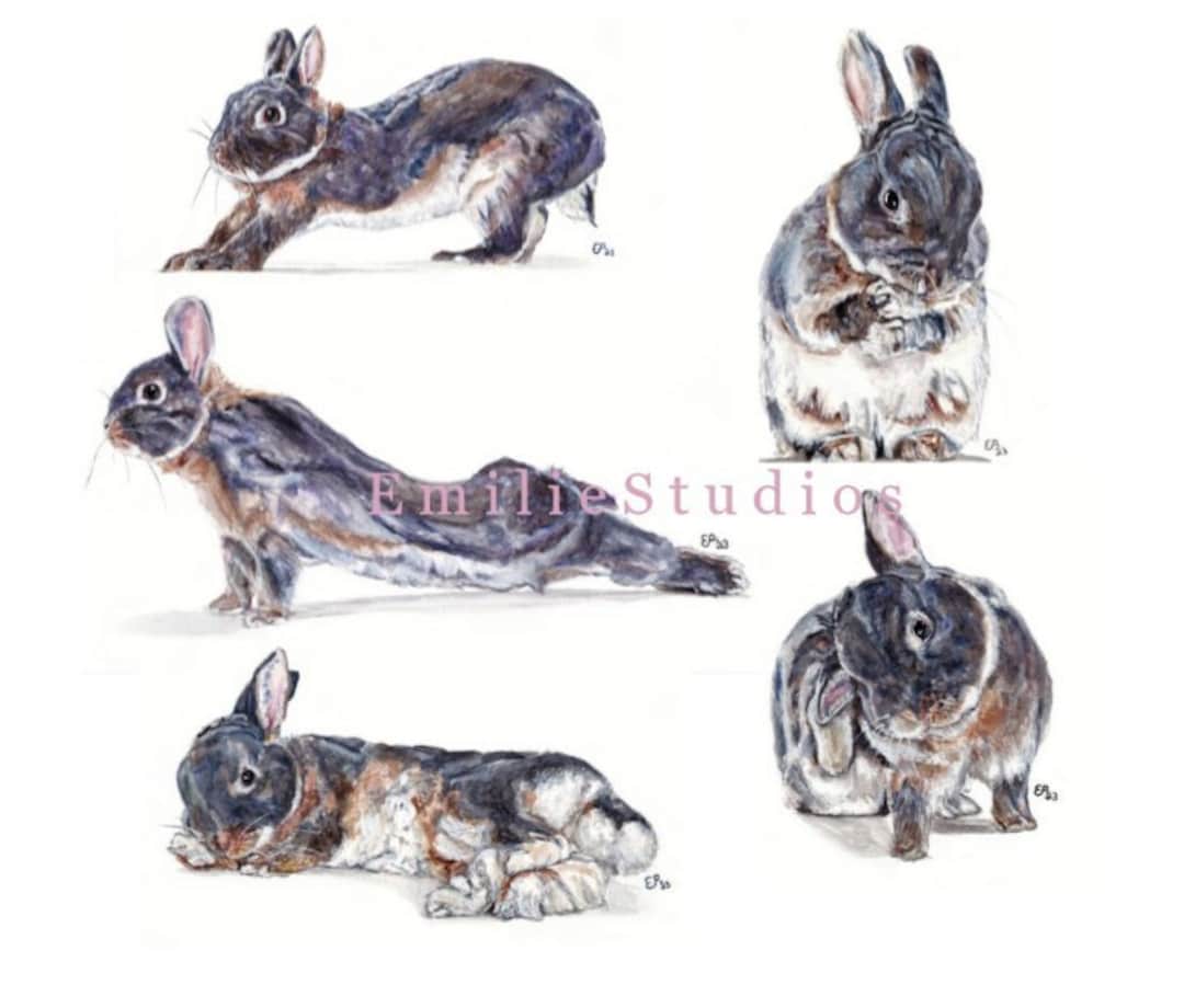 Netherland Dwarf Pose Series Individual Watercolor Prints | Rabbit Art ...