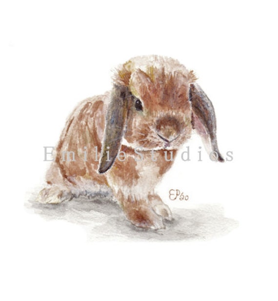 Lil' Lop Art Print - Etsy