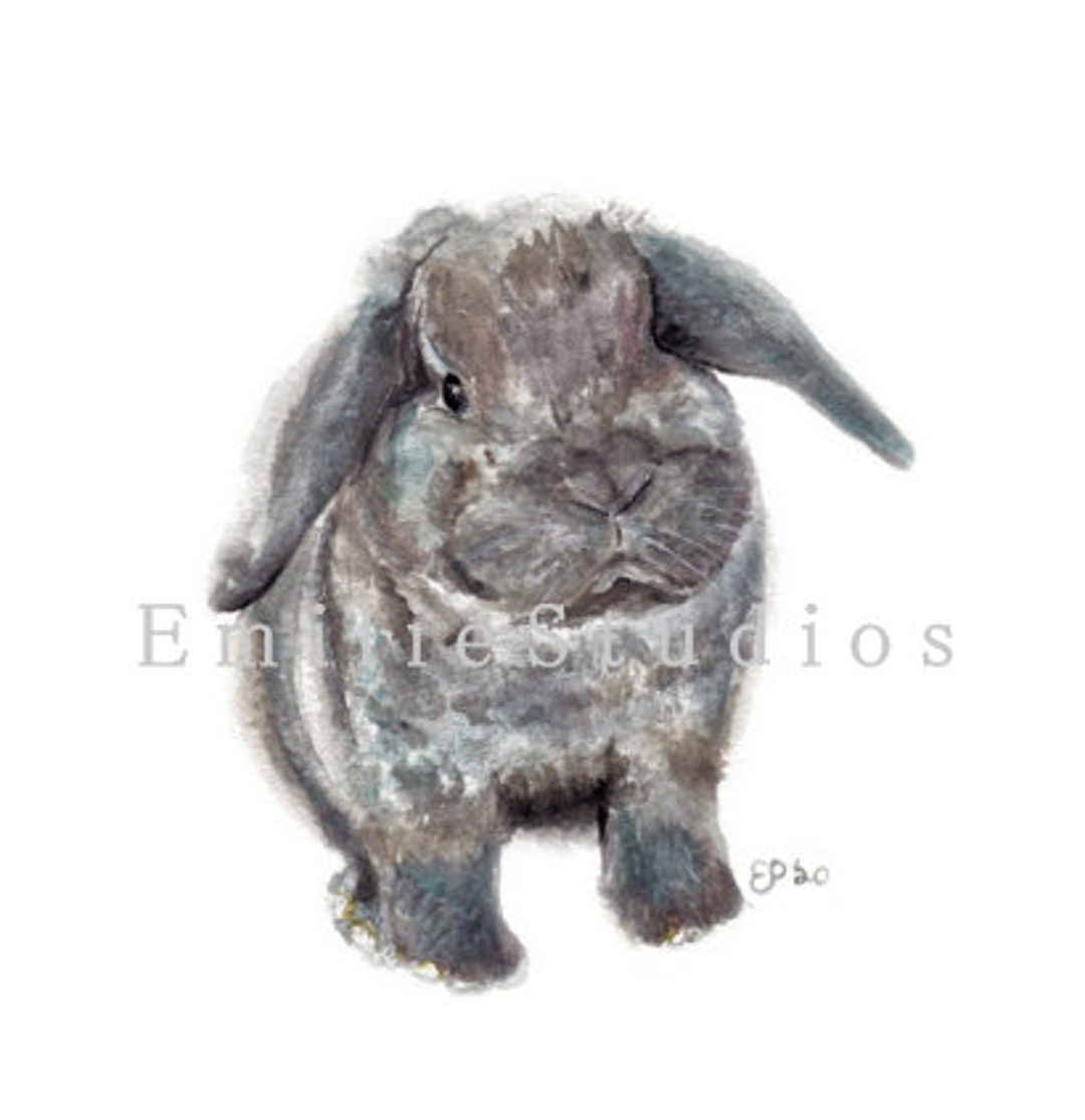 Holland Lop Watercolor Print - Etsy