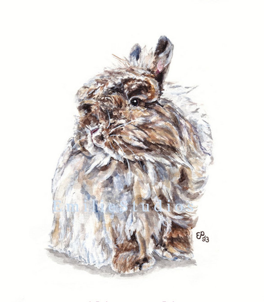 Jersey Wooly Agouti Rabbit Watercolor Print - Etsy