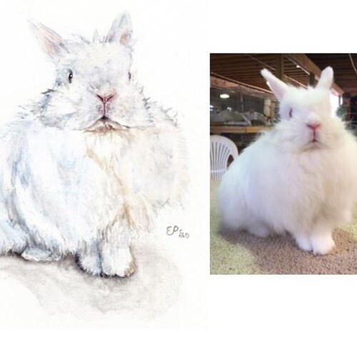 Custom Portrait Custom Pet Portrait Personalized Rabbit | Etsy