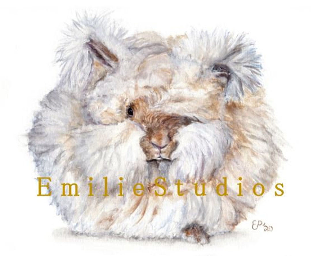 English Angora Rabbit Watercolor Print - Etsy