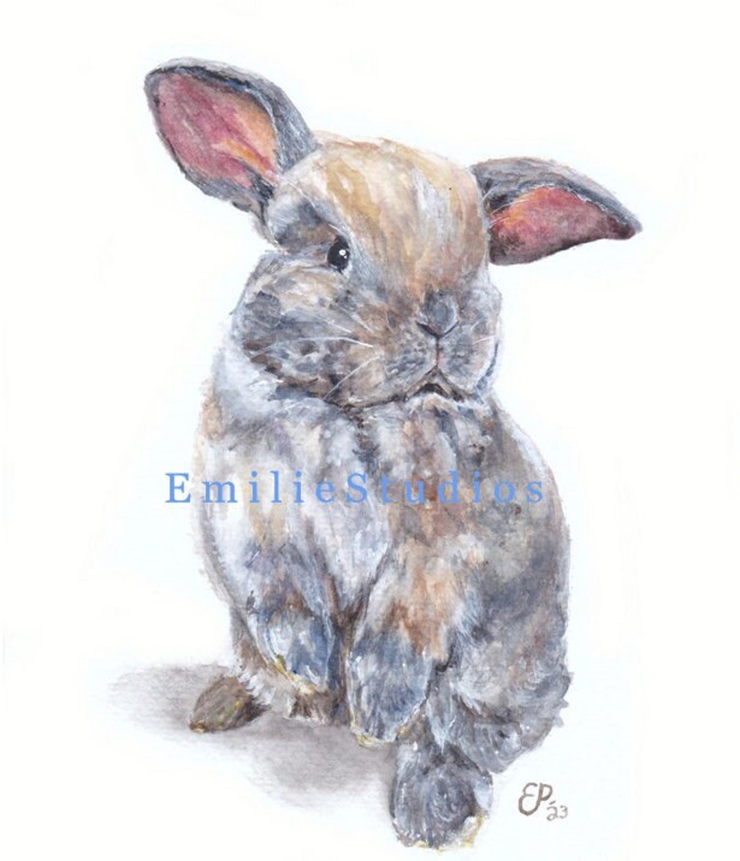 Holland Lop Baby Blue Tort | Rabbit Watercolor Art Print - Etsy