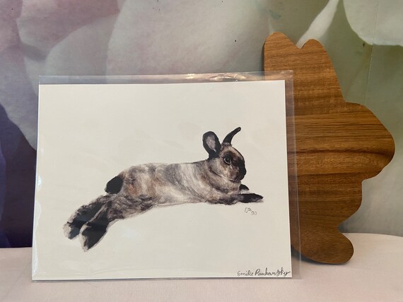 American Sable Rabbits