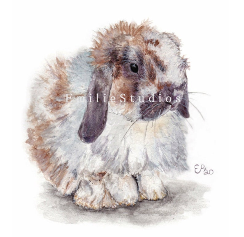 American Fuzzy Lop Watercolor Print - Etsy