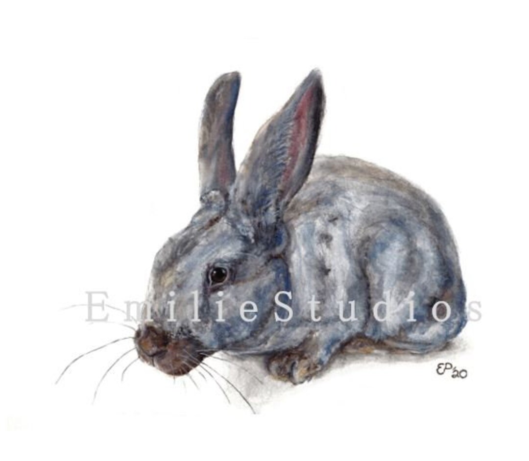 Argente Brun Rabbit Watercolor Print - Etsy