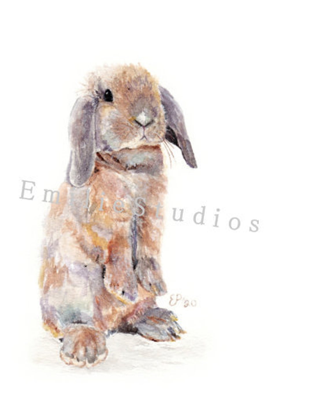 Lil' Standing Lop Rabbit Art Print | Bunny Gift | Pet Portrait Wall Art ...