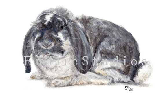 French Lop Rabbit Watercolor Print | Etsy