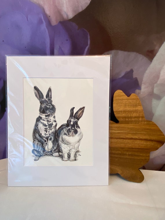 Broken Mini Rex Rabbits