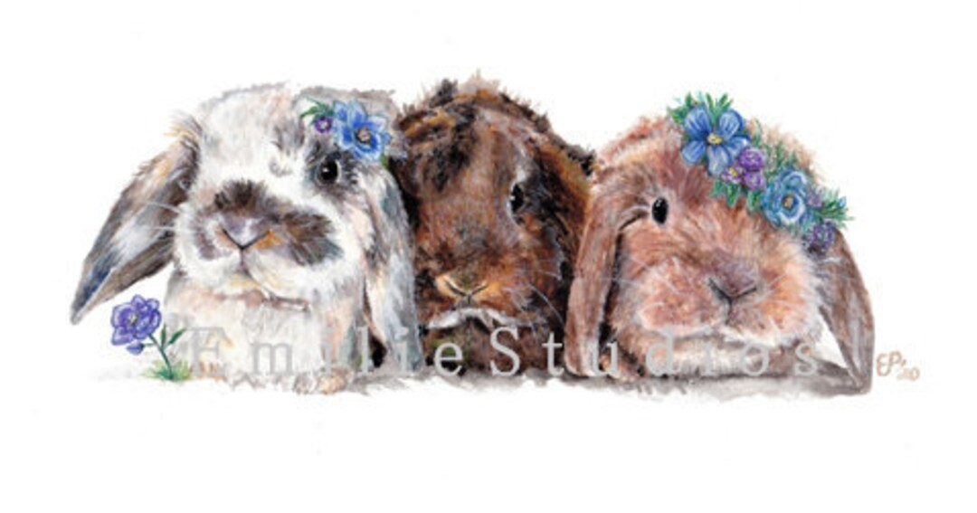 Three Holland Lops Floral Rabbit Watercolor Print | Bunny Gift | Pet ...