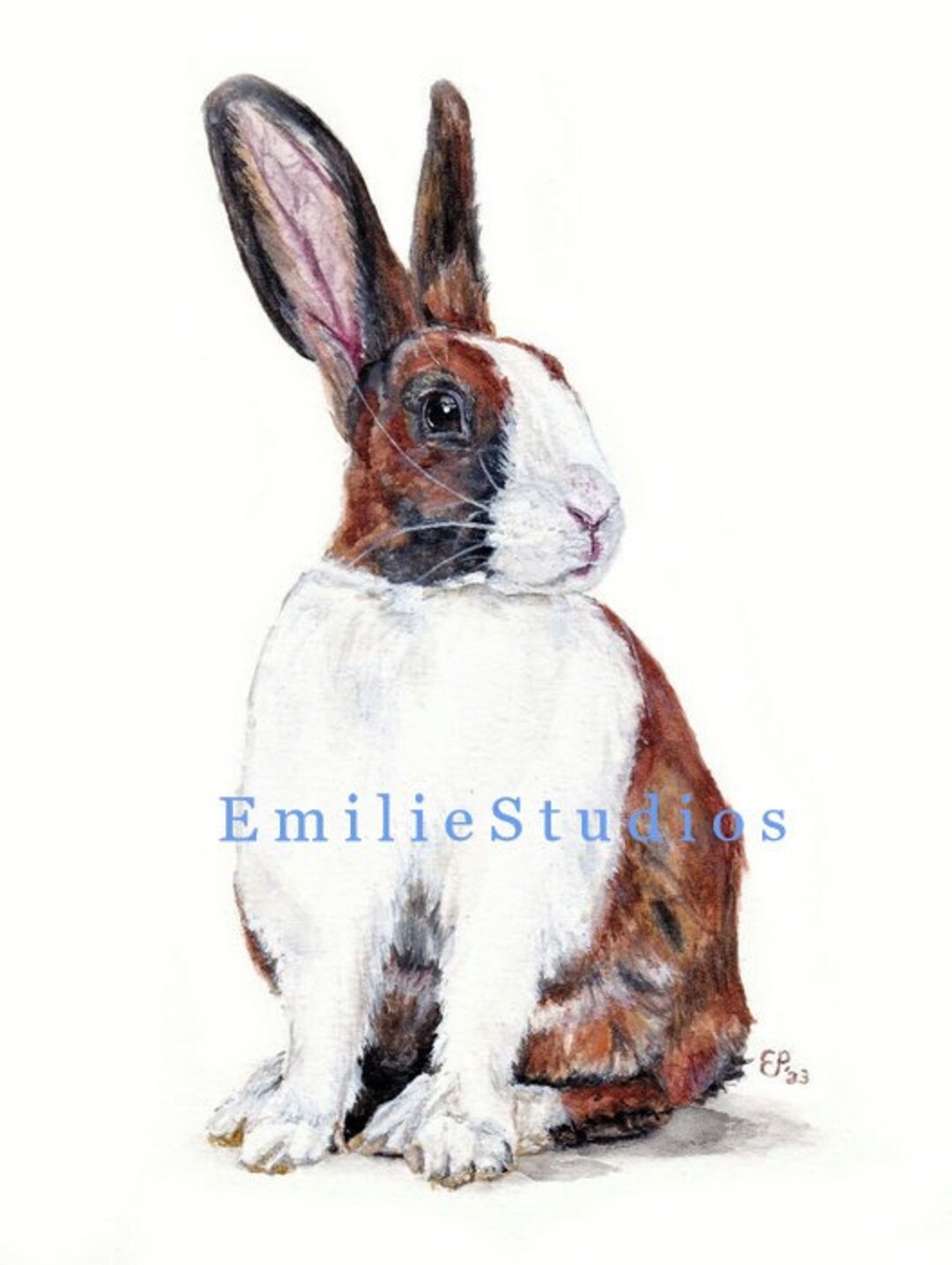 Dutch Tortoise Rabbit Watercolor Art Print - Etsy