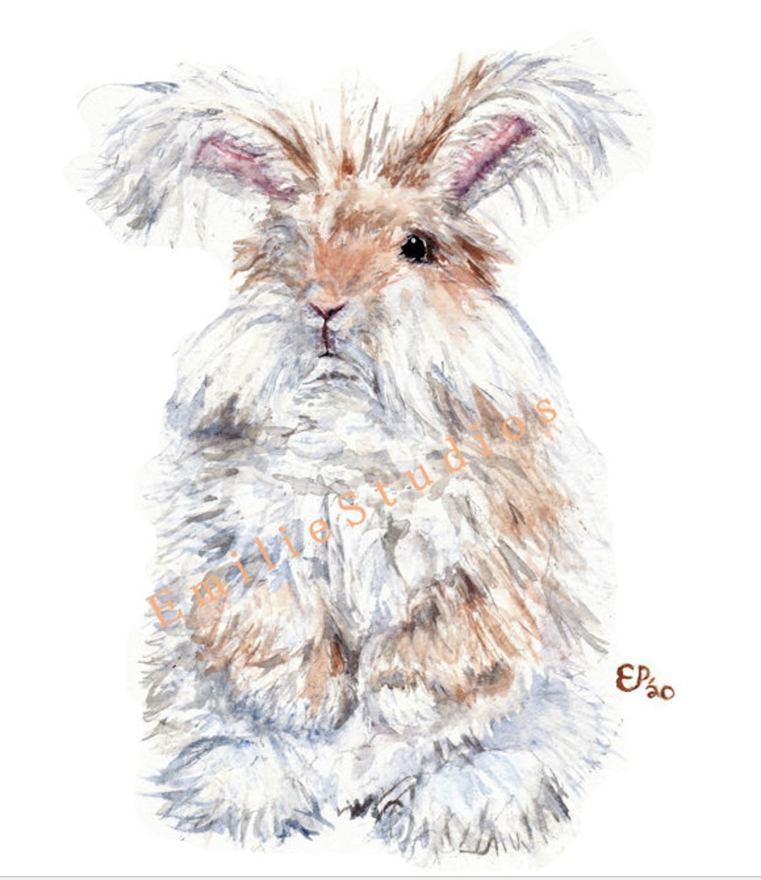 English Angora Rabbit Standing Fawn Watercolor Print - Etsy