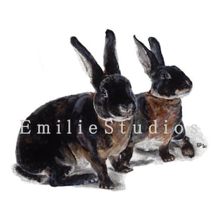 Black Otter Mini Rex Pair Watercolor Print - Etsy