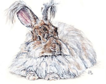 Peering Cute Angora Bunny Sticker Rabbit Car Decal, Bunny Laptop Decal ...