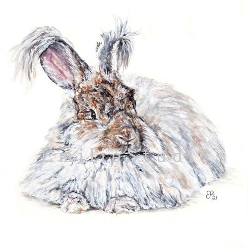 English Angora Rabbit Standing Fawn Watercolor Print - Etsy