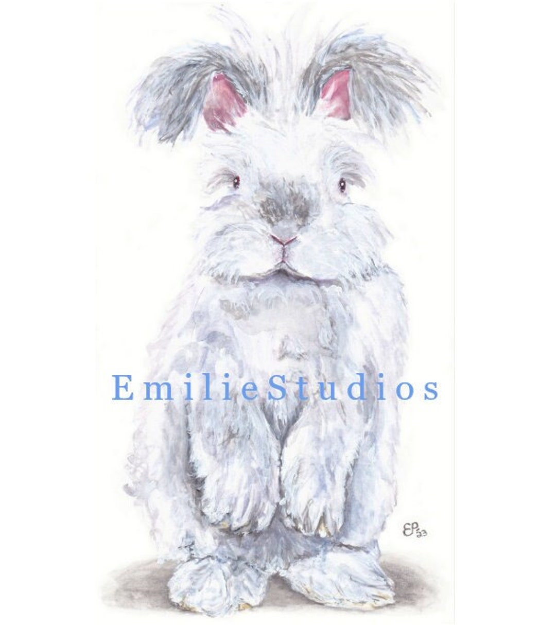 English Angora Rabbit Standing Pointed Watercolor Print - Etsy