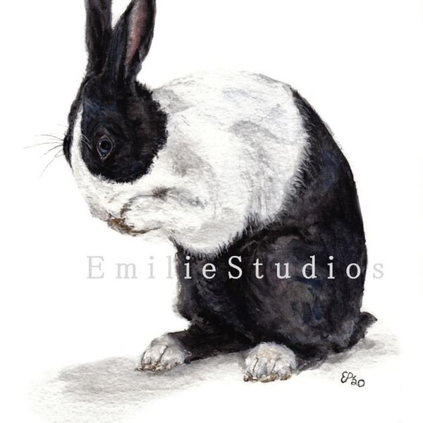 Dutch Bunny Rabbit - Etsy