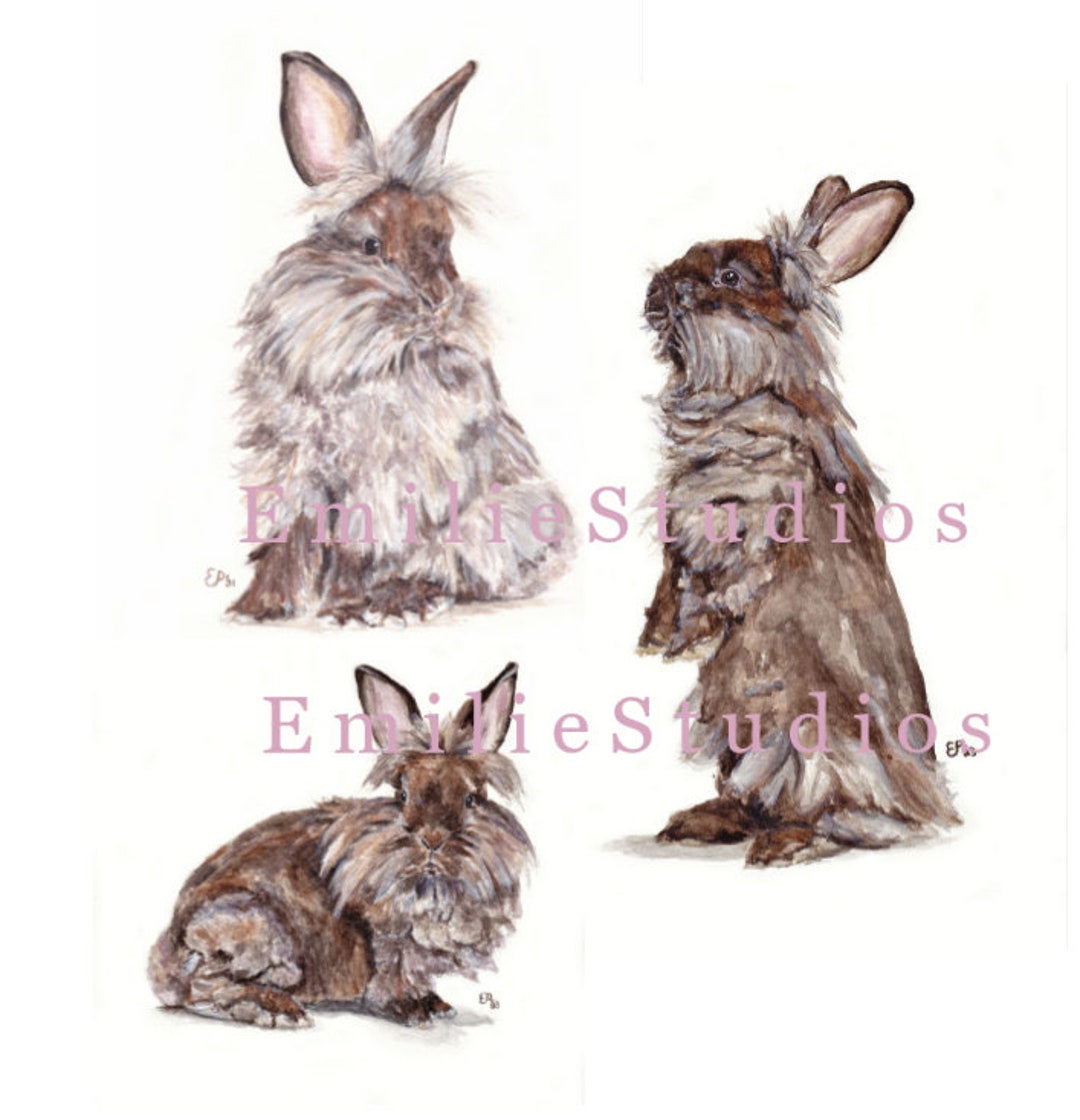 Lionhead (chocolate) Series Individual Watercolor Rabbit Prints - Etsy