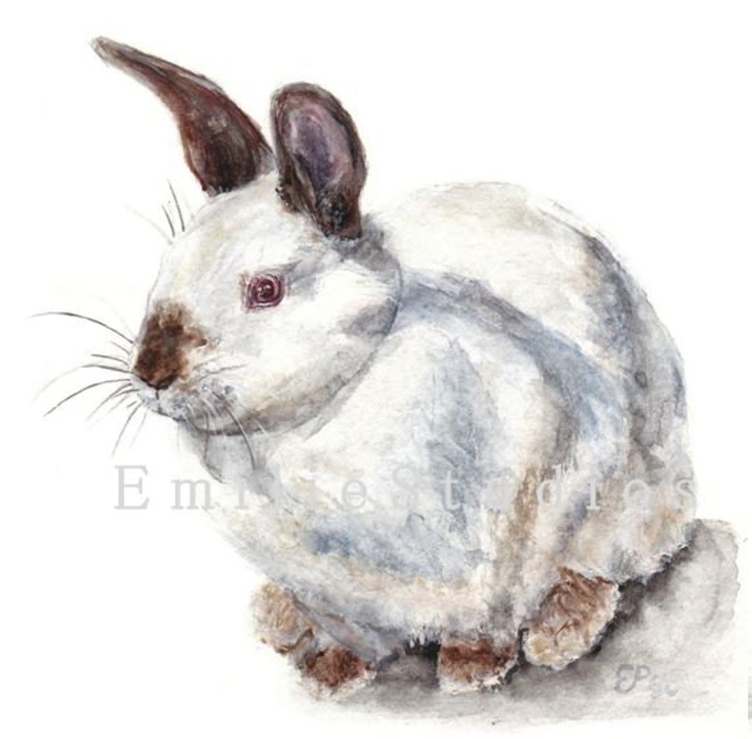 Californian Rabbit Watercolor Print - Etsy