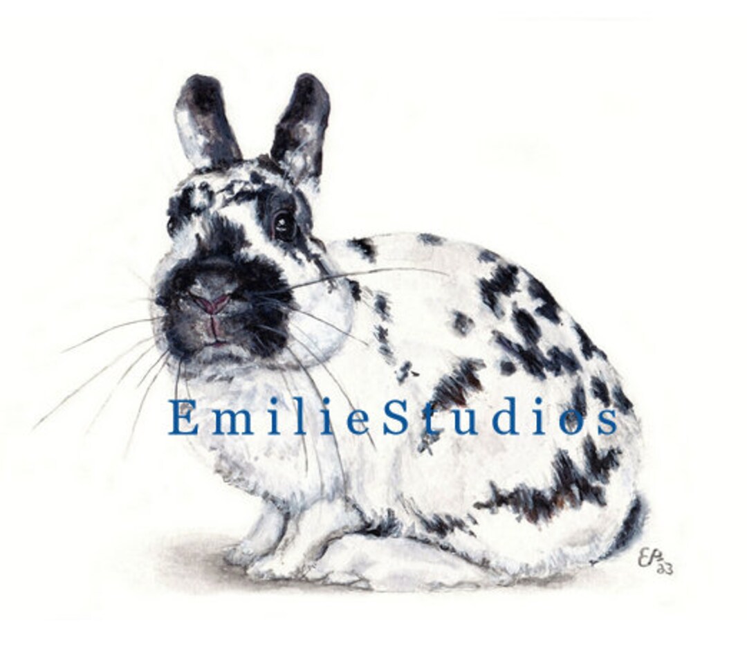 Polish Broken Blue Rabbit Watercolor Art Print - Etsy