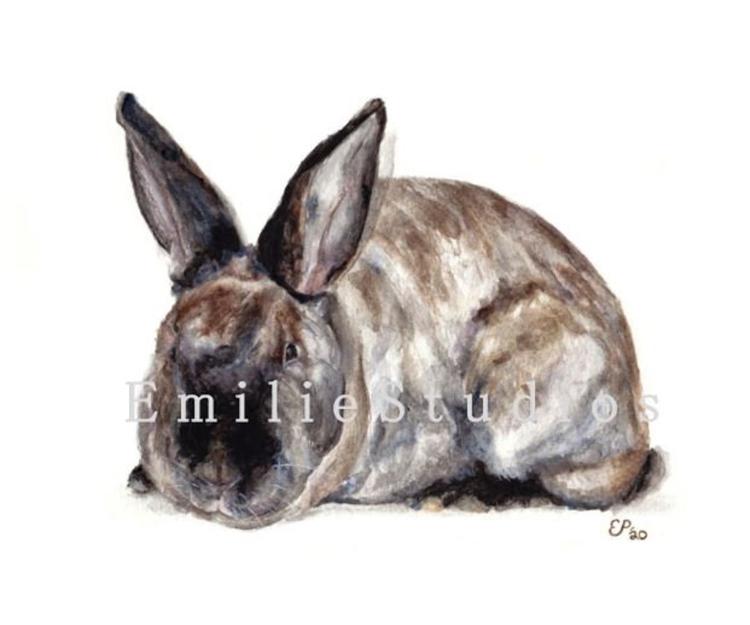 Satin Rabbit Watercolor Print! - Etsy