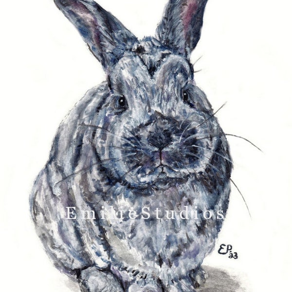 Rabbit Breeds - Etsy