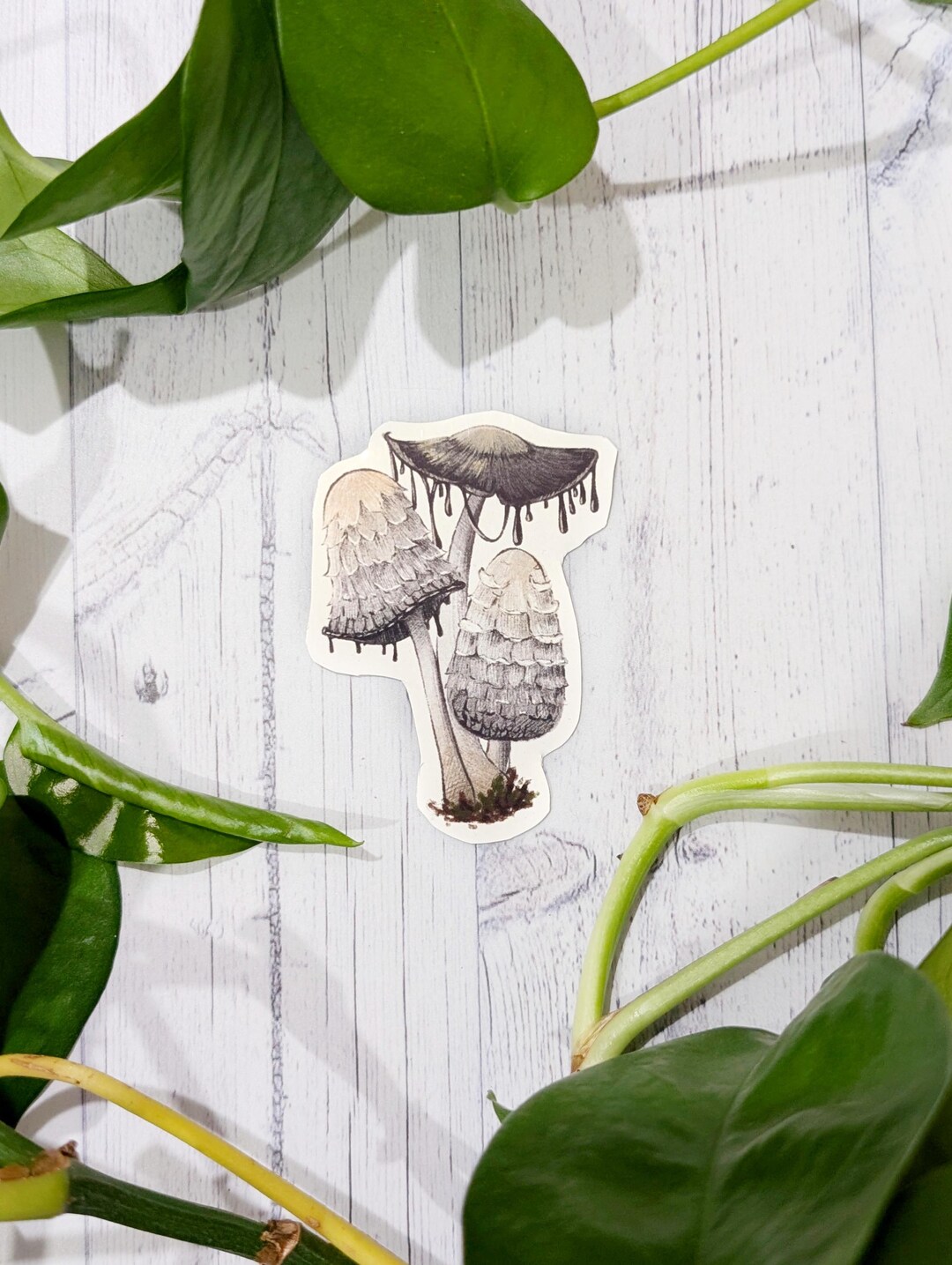 Inkcap Mushroom Handrawn Vinyl Sticker Decal for Laptop or Water Bottle ...