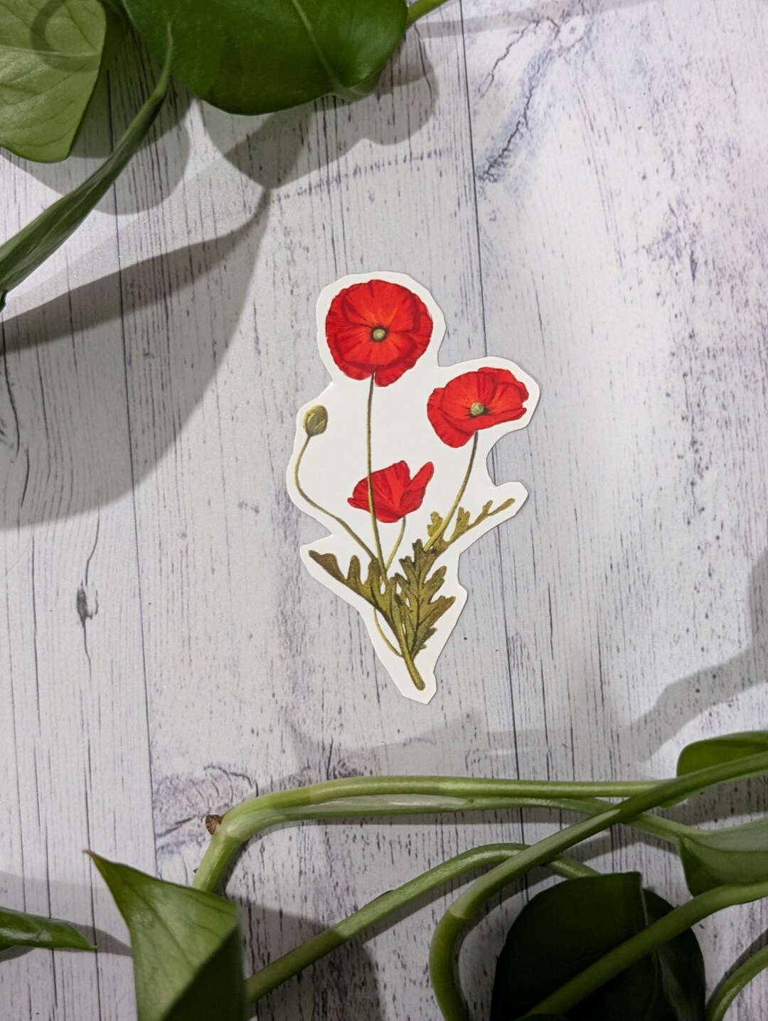 Poppy Wildflower Vinyl Sticker Decal for Laptop or Water Bottle - Etsy