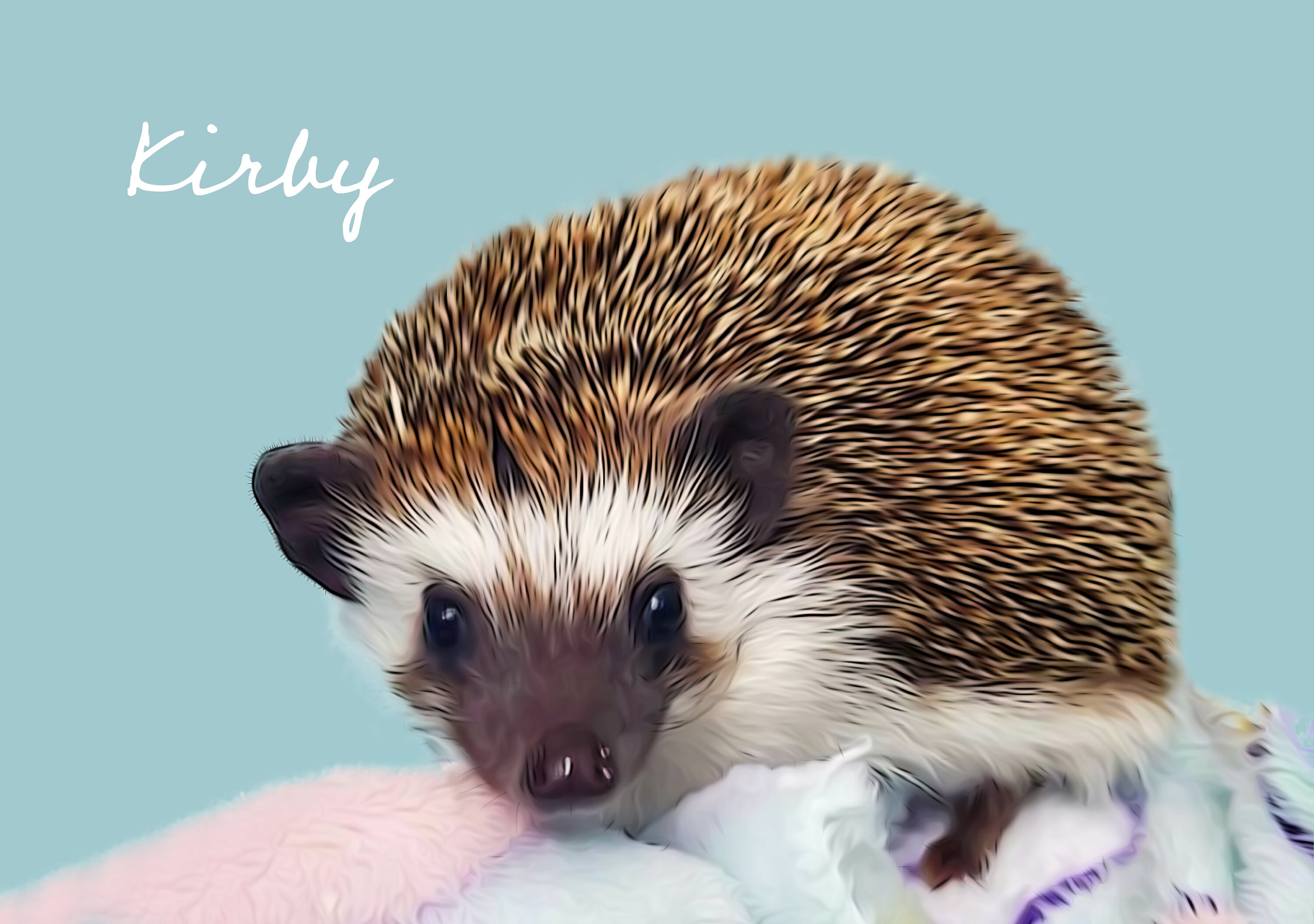 Hedgehog Portrait Hedgehog Art Custom Hedgehog Picture - Etsy UK