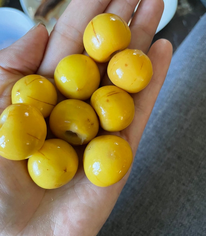 Multiple Sizes Hard to Find Nance Fruit Tree . Nanceinga - Etsy
