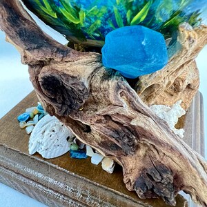 Sea Turtles - Hand Painted Ostrich Egg - Etsy