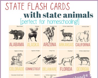 State Flash Cards - Etsy