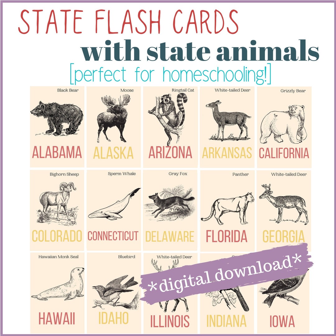 State Flash Cards With State Animals | Homeschool Printables - Etsy