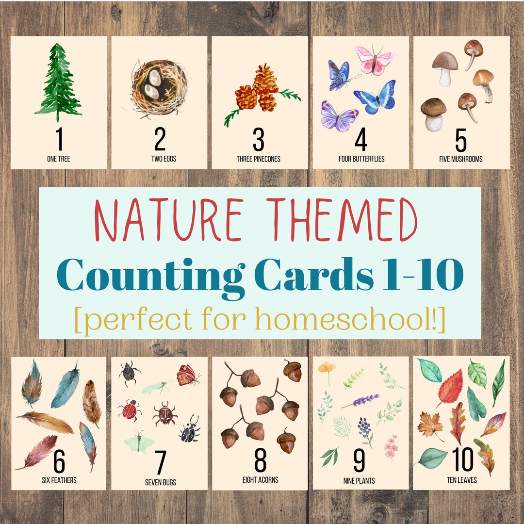 Nature Counting Cards 1-10 | Homeschool Printables - Etsy
