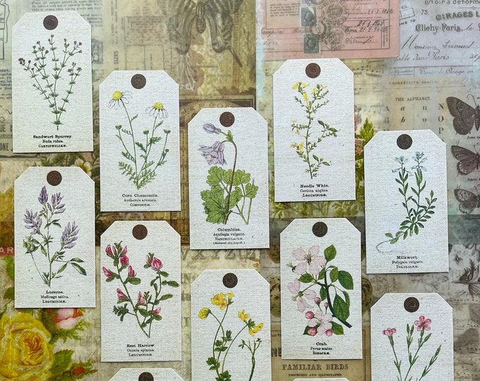 Vintage Herbal Floral Plants Stickers DIY Scrapbooking Journaling ...