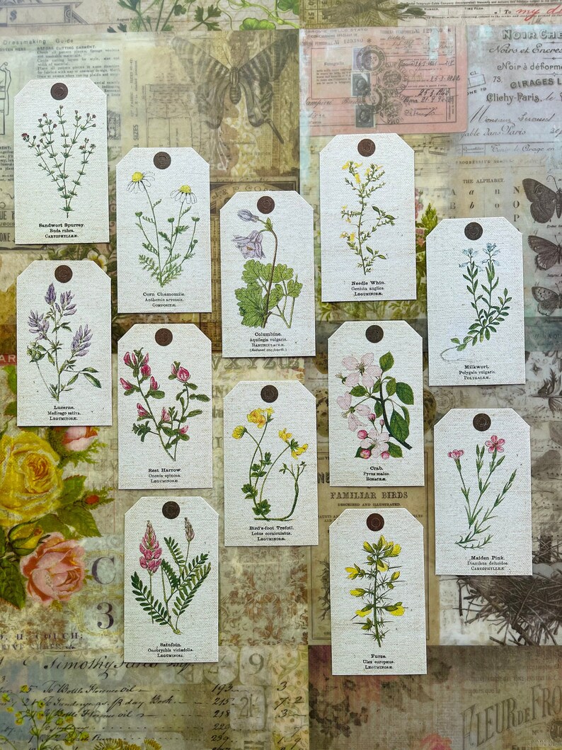 Vintage Herbal Floral Plants Stickers DIY Scrapbooking - Etsy