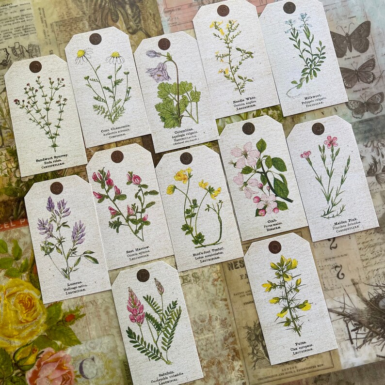Vintage Herbal Floral Plants Stickers DIY Scrapbooking Journaling ...