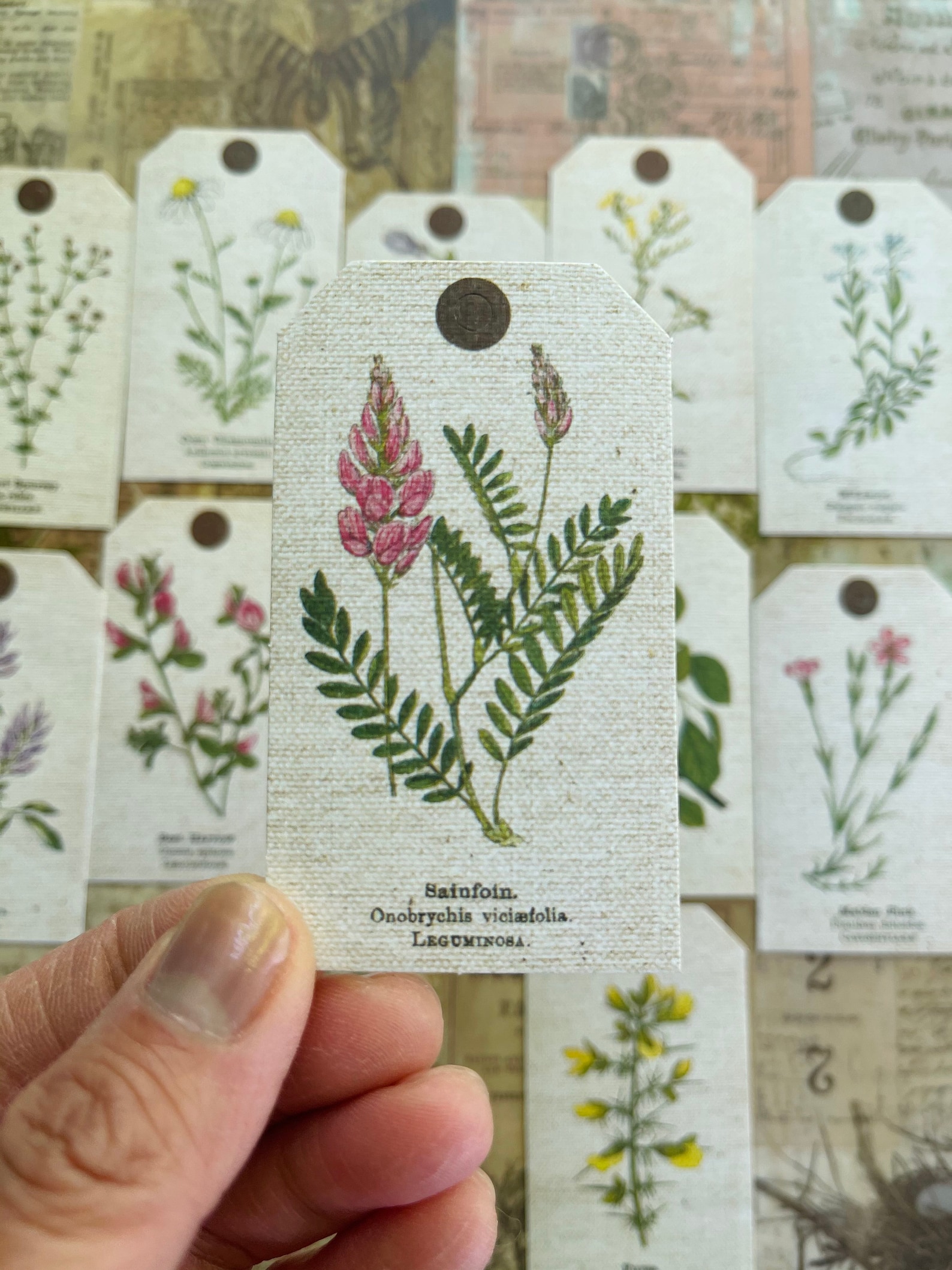 Vintage Herbal Floral Plants Stickers DIY Scrapbooking | Etsy