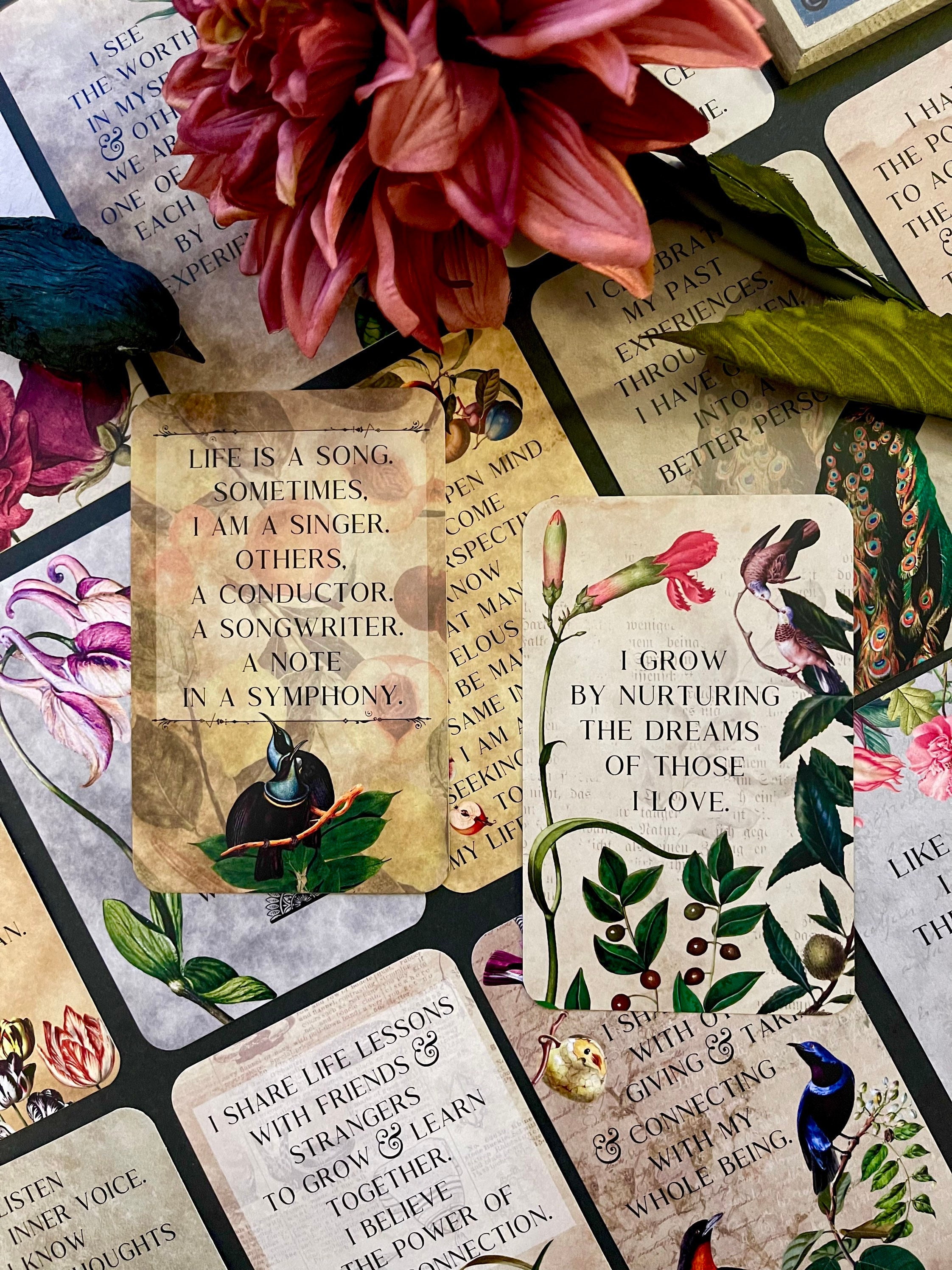 Vintage Flora & Fauna Affirmation Cards Deck, Affirmation Cards for ...