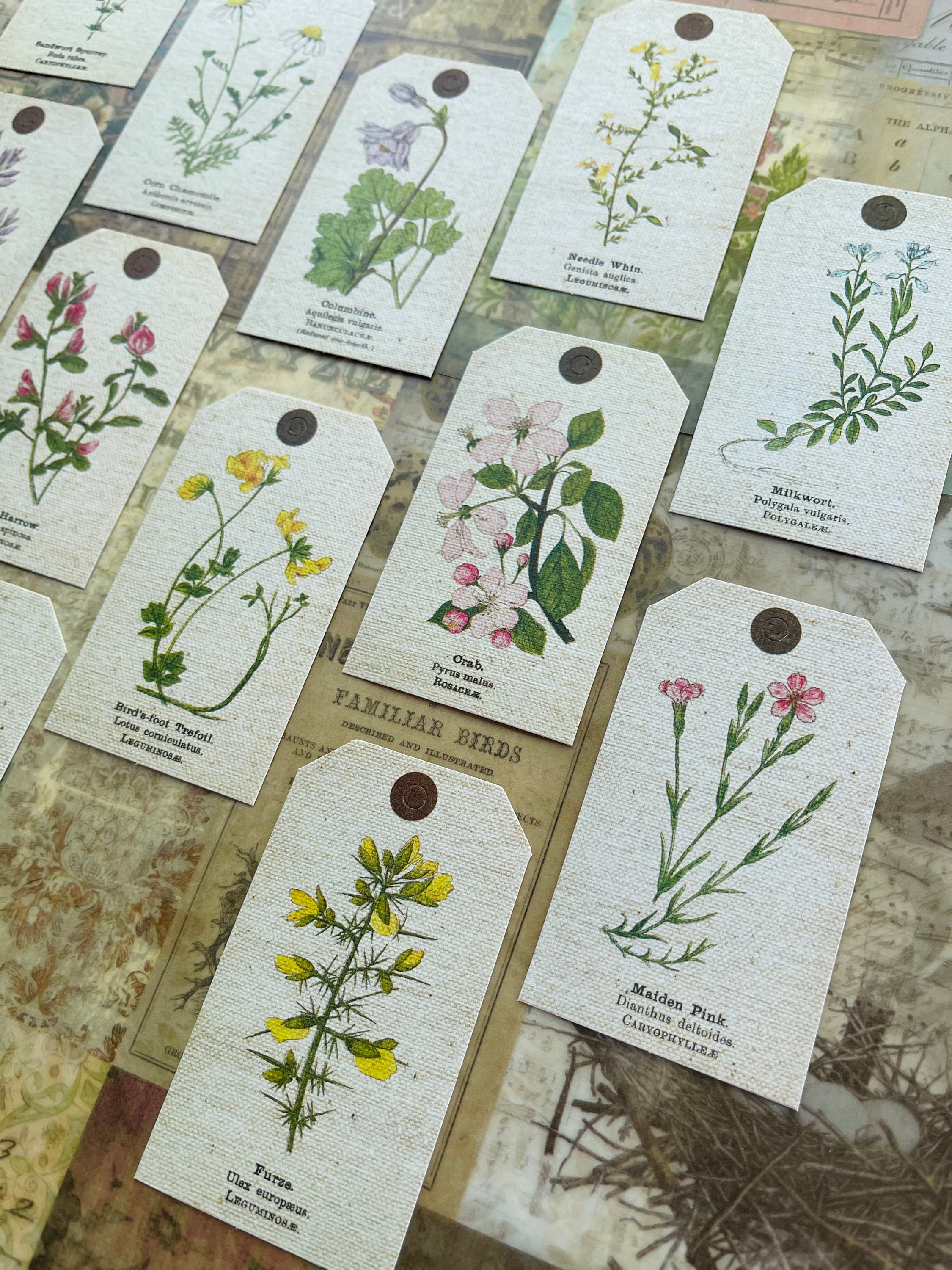 Vintage Herbal Floral Plants Stickers DIY Scrapbooking Journaling ...