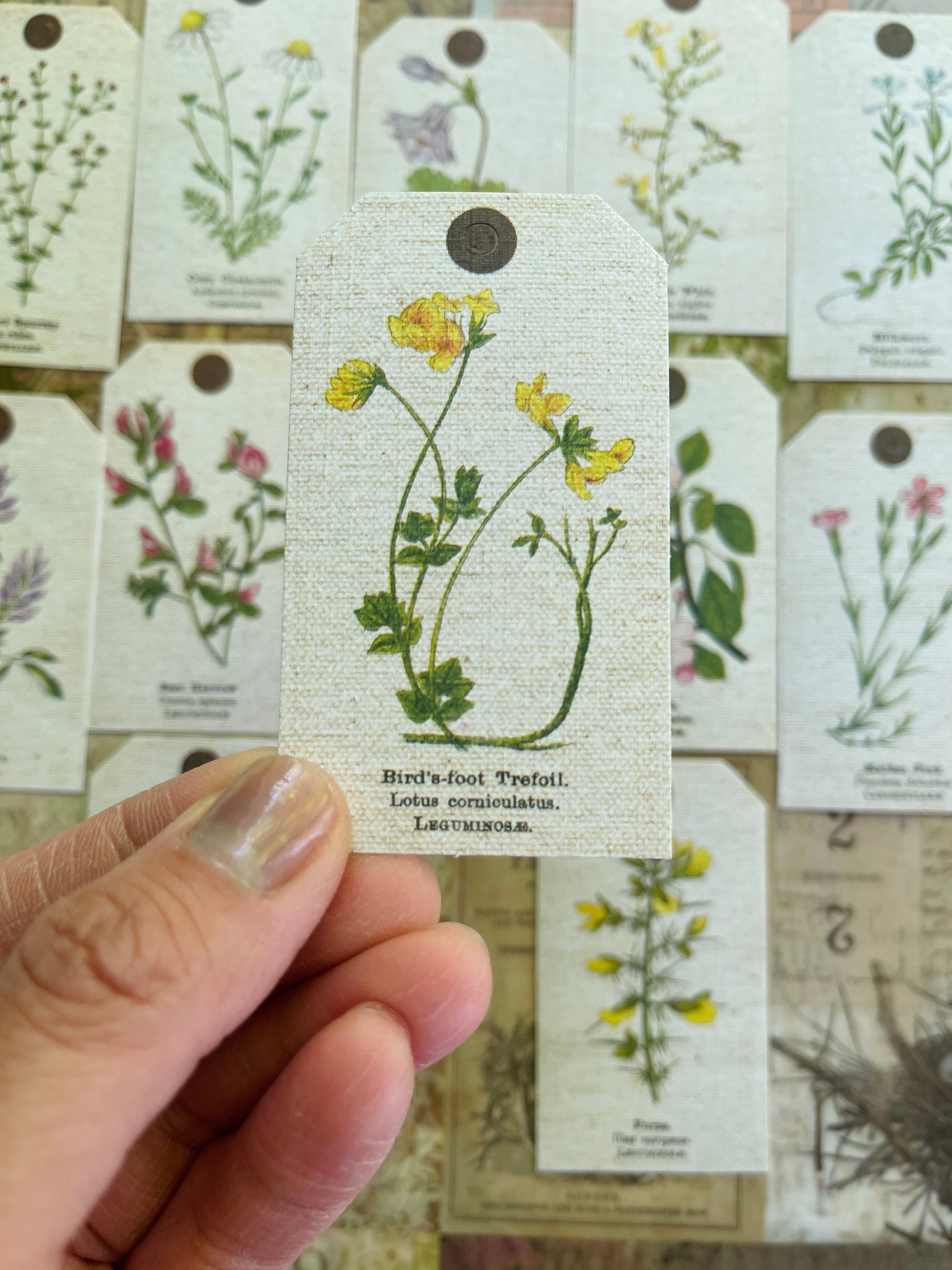 Vintage Herbal Floral Plants Stickers DIY Scrapbooking Journaling ...