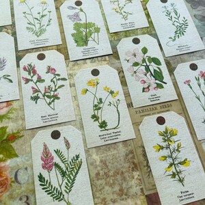 Vintage Herbal Floral Plants Stickers DIY Scrapbooking Journaling ...