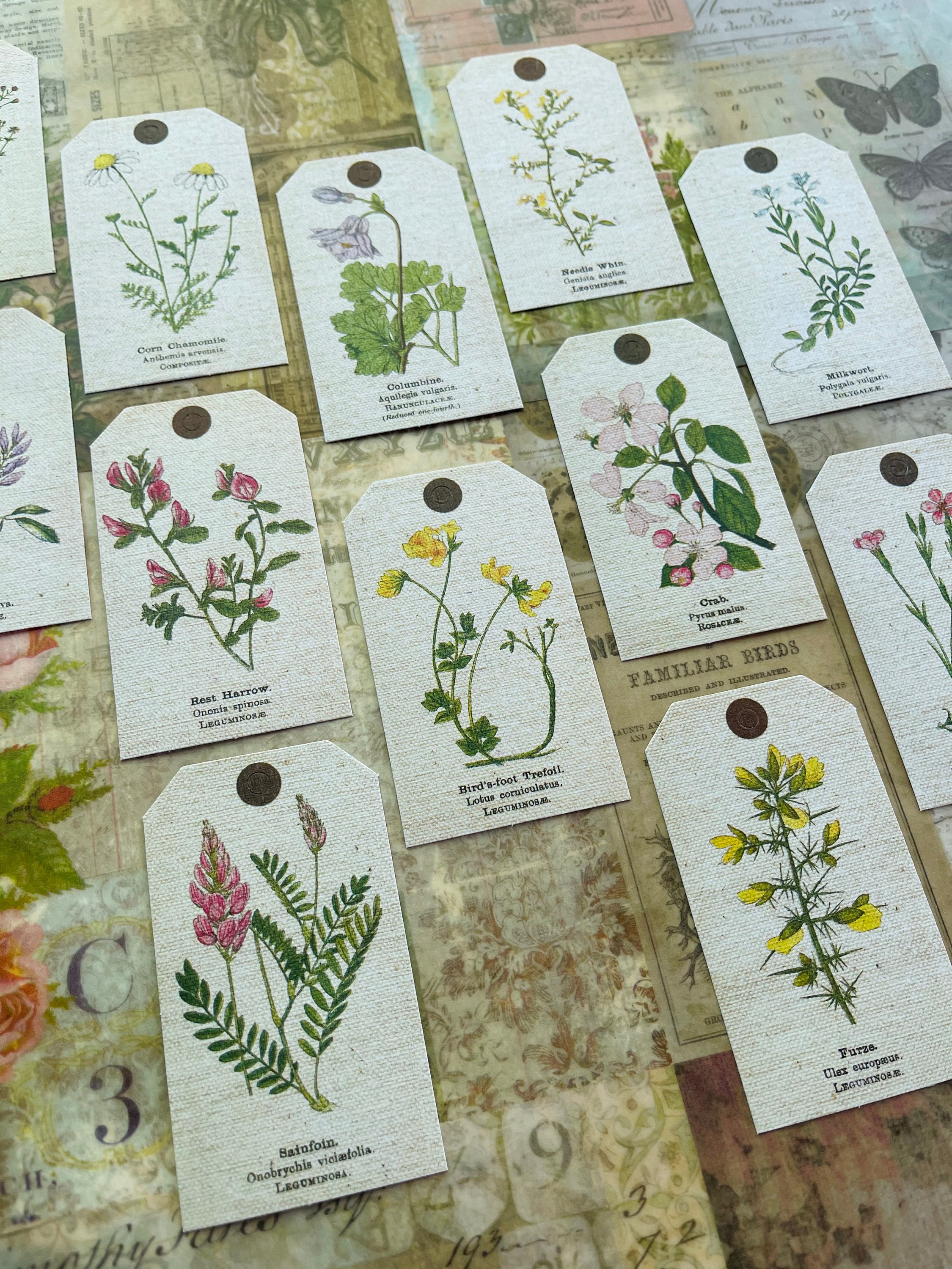 Vintage Herbal Floral Plants Stickers DIY Scrapbooking Journaling ...