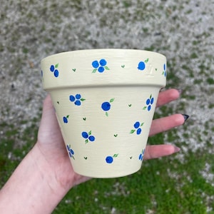 Blueberry Pot - Etsy