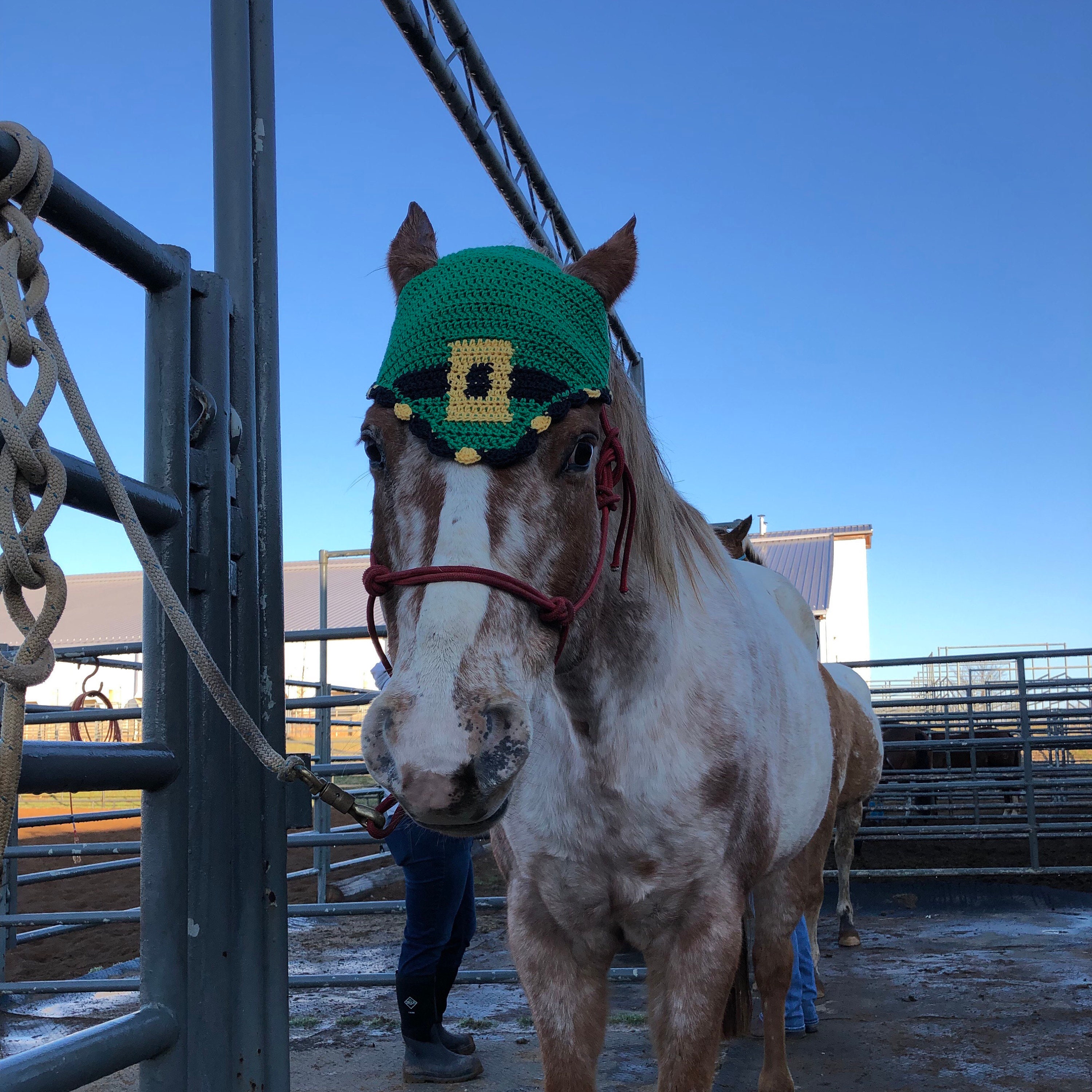 Holiday Horse Hat - Etsy