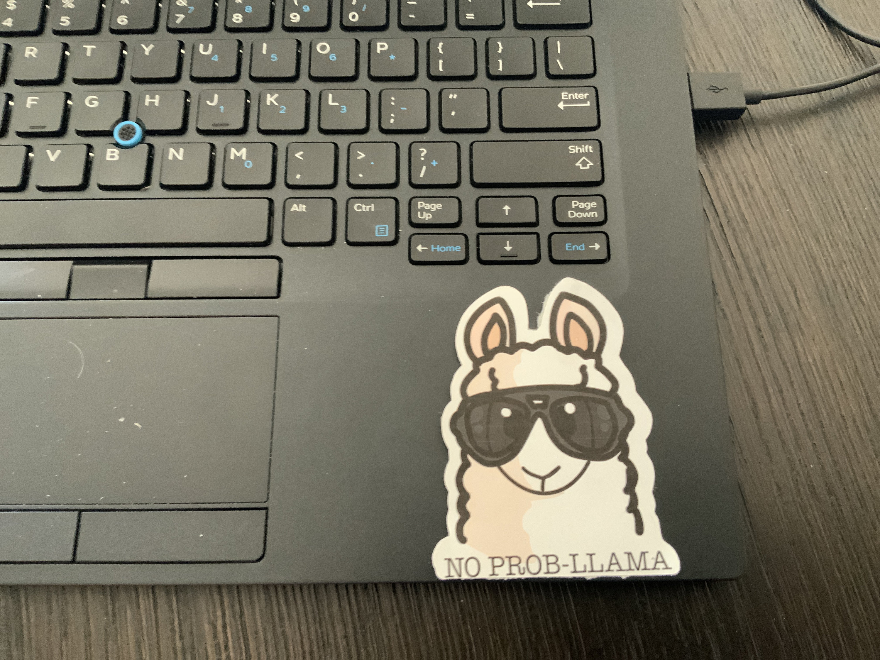 Waterproof No Prob Llama Sticker - Etsy