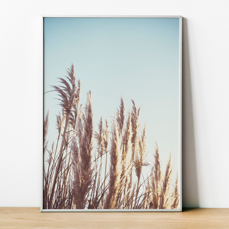 Pampa - Etsy