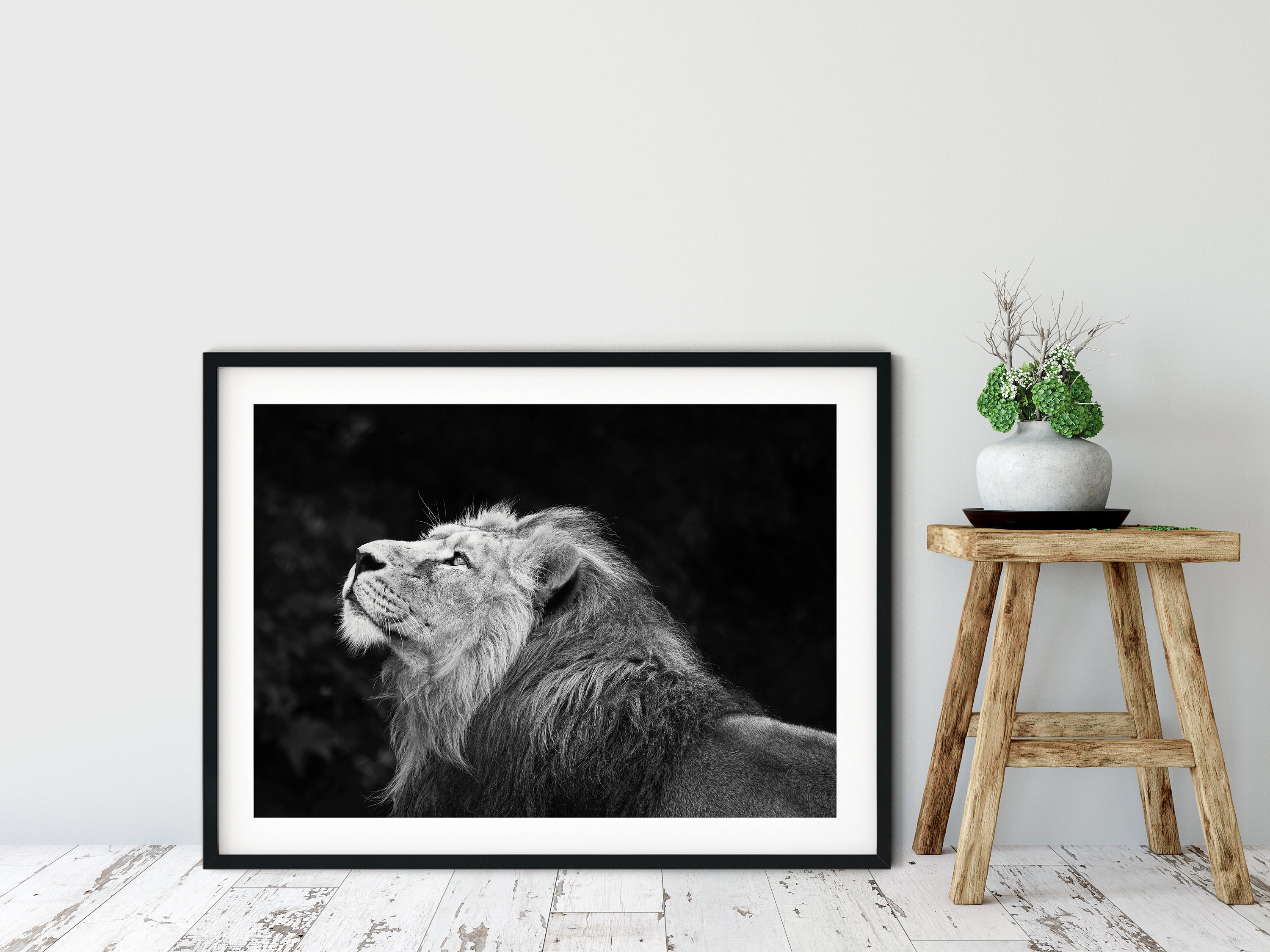 Lion Print Lion Photo Lion Poster Lion Fine Art - Etsy