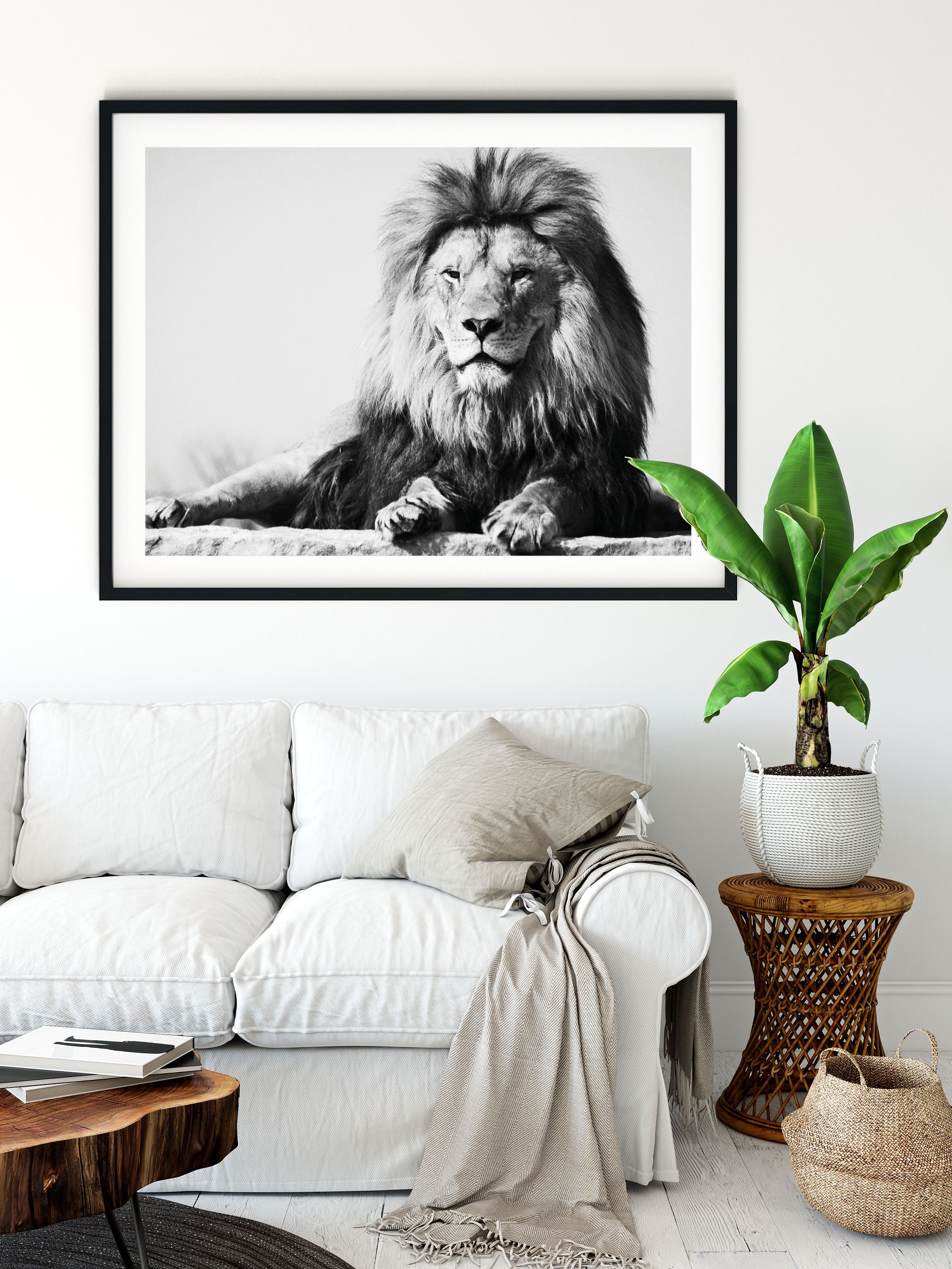 Lion Print Lion Photo Lion Poster Lion Fine Art | Etsy
